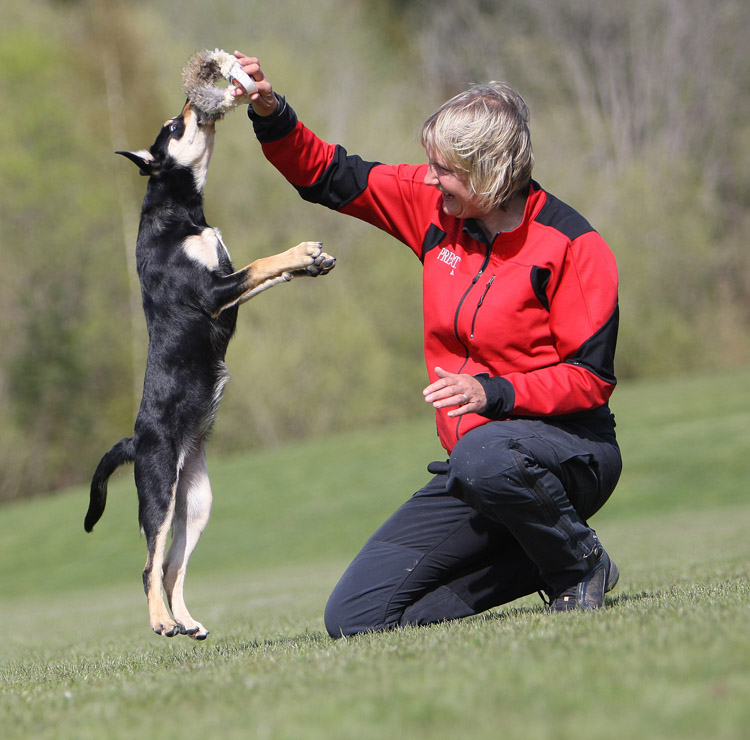 BEST HVER-DAG m/Siv Svendsen og Maria Brandel - CATCH Hundetrening